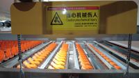 China Multiple Tanks Glove Dipping Machine PLC Control Glove Production Machine for sale