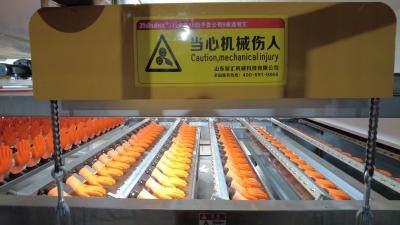 China Multiple Tanks Glove Dipping Machine PLC Control Glove Production Machine for sale