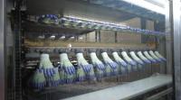 China Fully Automatic Glove Dipping Line Industrial Safety Gloves Making Machine for sale