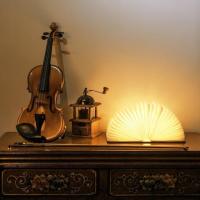 China Magnetic Atmosphere Colour Paper Book Lamp Rechargeable USB for sale