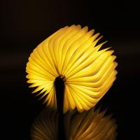 China LED Origami Pendant Lamp Paper Craft Night Desk Book Light Wooden for sale