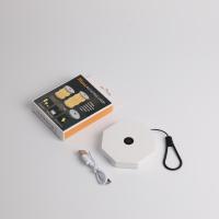 China Smart Touch LED Handmade Robin Rotating Paper Lamp Night Light Home Lantern for sale
