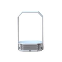 China Portable Modern Table Ginkgo Accordion Lamp ABS USB Rechargeable for sale