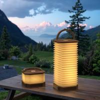 China LED RGB Table Sculptural Accordion Light Vertical Lamp Warm White for sale