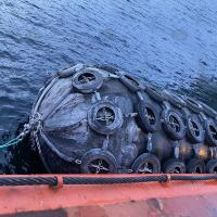 China Reliable Yokohama Boat Fender for Superior Marine Impact Defense for sale