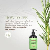 China 2-IN-1 Replenishing Moisturizing Rosemary Mint Shampoo and Conditioner Set Nourishing for sale