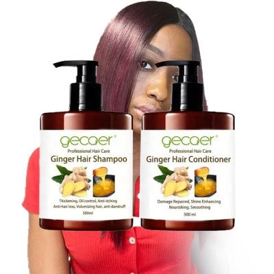 China Ginger Scalp Care Shampoo Extract Nourish Deep Moisturizing Cream and Formula 2-IN-1 for sale