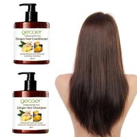 China Organic Hair Care Set For All Hair Types Shampoo And Conditioner With Anti-Frizz Formul for sale