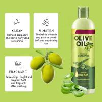 China Private Label Keratin Olive Hair Shampoo and Conditioner Oil Set for Moisturized Hair for sale