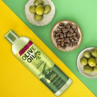 China Organic Olive Oil Aloe Vera Shampoo and Conditioner Set for Curly Hair Care Products for sale