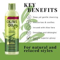 China Adults Oem Hair Growth Olive Oil Shampoo for Anti-dandruff and Soft Refreshing Hair Care for sale