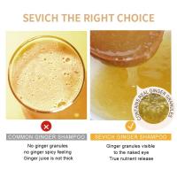 China Ginger Oil Shampoo and Conditioner Set for Nourishing Hair Customized Logo Design for sale