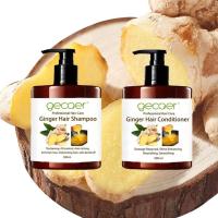 China Fast Hair Growth Shampoo for Thinning Hair Organic Ginger Anti Hair Loss Formula for sale