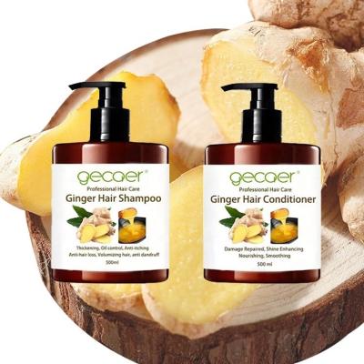 China Fast Hair Growth Shampoo for Thinning Hair Organic Ginger Anti Hair Loss Formula for sale