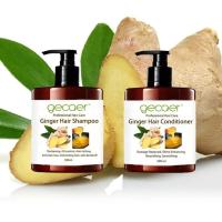 China Private Label Organic Hair Care Oil Control Ginger Shampoo and Conditioner for Unisex for sale