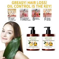 China Private Label Organic Hair Care Oil Control Ginger Shampoo and Conditioner for Unisex for sale