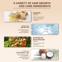 China Private Label Organic Hair Care Oil Control Ginger Shampoo and Conditioner for Unisex for sale