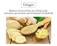 China Revive Your Hair Natural Organic Ginger Shampoo and Conditioner Set for Anti-Hair Loss for sale