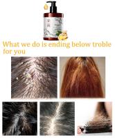 China Hair-Loss Prevention 2-IN-1 Formula Organic Ginger Shampoo for Professional Hair Care for sale
