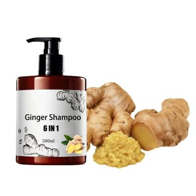 China Anti-Hair Loss Ginger Shampoo 500ml Private Label for Oil Control and Healthy Hair for sale