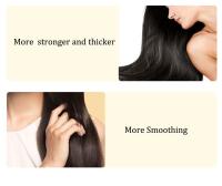 China Anti-Hair Loss Ginger Shampoo 500ml Private Label for Oil Control and Healthy Hair for sale