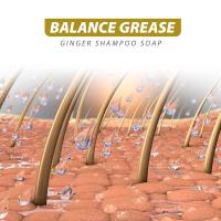 China Anti-Hair Loss Ginger Shampoo 500ml Private Label for Oil Control and Healthy Hair for sale