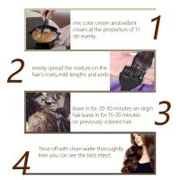 China Vibrant And Lasting Hair Color With Professional Permanent Hair Dye Cream for sale