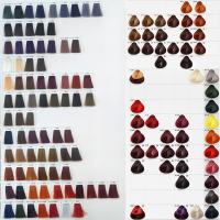 China Professional Cream Hair Color for Salon Treatment Milbon System Low Ammonia Product for sale