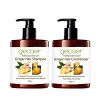 China All Hair Types 2-IN-1 Organic Ginger Hair Care Set with 6 Functions Private Label for sale
