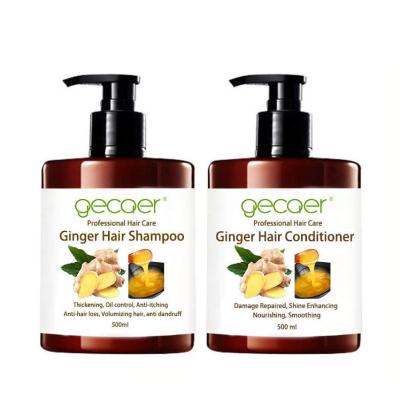 China All Hair Types 2-IN-1 Organic Ginger Hair Care Set with 6 Functions Private Label for sale