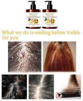 China All Hair Types 2-IN-1 Organic Ginger Hair Care Set with 6 Functions Private Label for sale