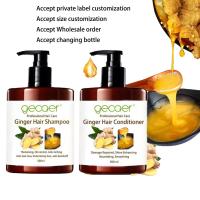 China All Hair Types 2-IN-1 Organic Ginger Hair Care Set with 6 Functions Private Label for sale