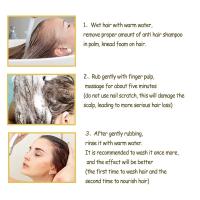 China Smoothing Private Label Custom Vegan Hair Care Treatment Products Hair Growth Organic Anti Hair Loss Ginger Shampoo And Conditioner Set for sale