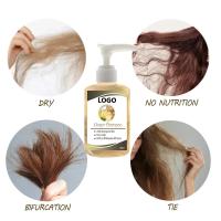 China Smoothing Private Label Custom Vegan Hair Care Treatment Products Hair Growth Organic Anti Hair Loss Ginger Shampoo And Conditioner Set for sale