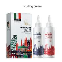 China Hair Curling Perm for SALON OEM ODM business curling cream wave Boucler les cheveux for sale