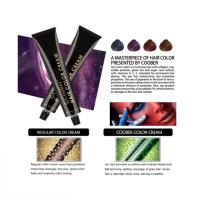 China 72 Colors Salon Hair Colouring Cream Professional Permanent Formula In Popular Shades for sale
