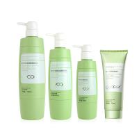 China Anti Frizz Customized Packaging Refreshing Oil Control Shampoo And Conditioner Set for sale