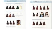 China Hair Dye Hair Color Cream Tinte Para El Cabello Box Free Permanent Acceptable OEM/ODM for sale
