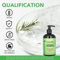 China New Formulate Organic Hair Care Set Anti Loss Ginger Hair Shampoo With 6 Function Private Label for sale