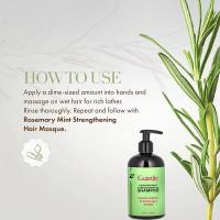 China Customize Luxurious Quality Aloe Vera Extract Hair Shampoo And Conditioner For Oil And Dry Hair Shampoo Factory for sale
