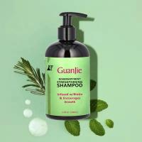 China New Formulate Organic Hair Care Set Anti Loss Ginger Hair Shampoo With 6 Function Private Label for sale