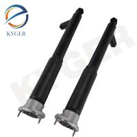 China Mercedes W212 W218 Rear Air Suspension Strut Pair 2123201630 2123201630 for sale