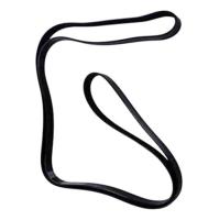 China C2P12808 Serpentine Belt Replacement for Jaguar XF 2015 & Land Rover - ISO16949 Certified Auto Parts for sale