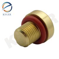China BMW E36 E39 E46 Radiator Overflow Coolant Expansion Tank Bleeder Screw 17111712788 for sale