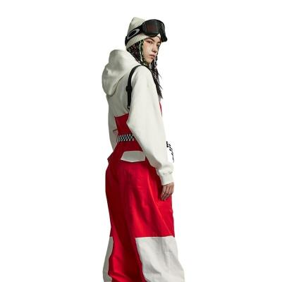 China Detachable Snowskirt Women Ski Suit Winter Windproof Warm Custom Logo 500pcs MOQ for sale