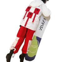 China Detachable Snowskirt Women Ski Suit Winter Windproof Warm Custom Logo 500pcs MOQ for sale