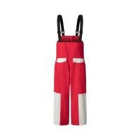 China Detachable Snowskirt Women Ski Suit Winter Windproof Warm Custom Logo 500pcs MOQ for sale