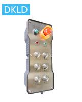 China Six-way dual speed switch industrial remote control for sale