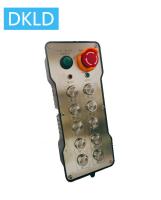 China Ten-way dual speed switch industrial remote control for sale