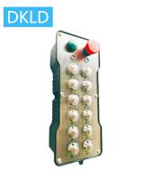 China Twelve-way dual speed switch industrial remote control for sale